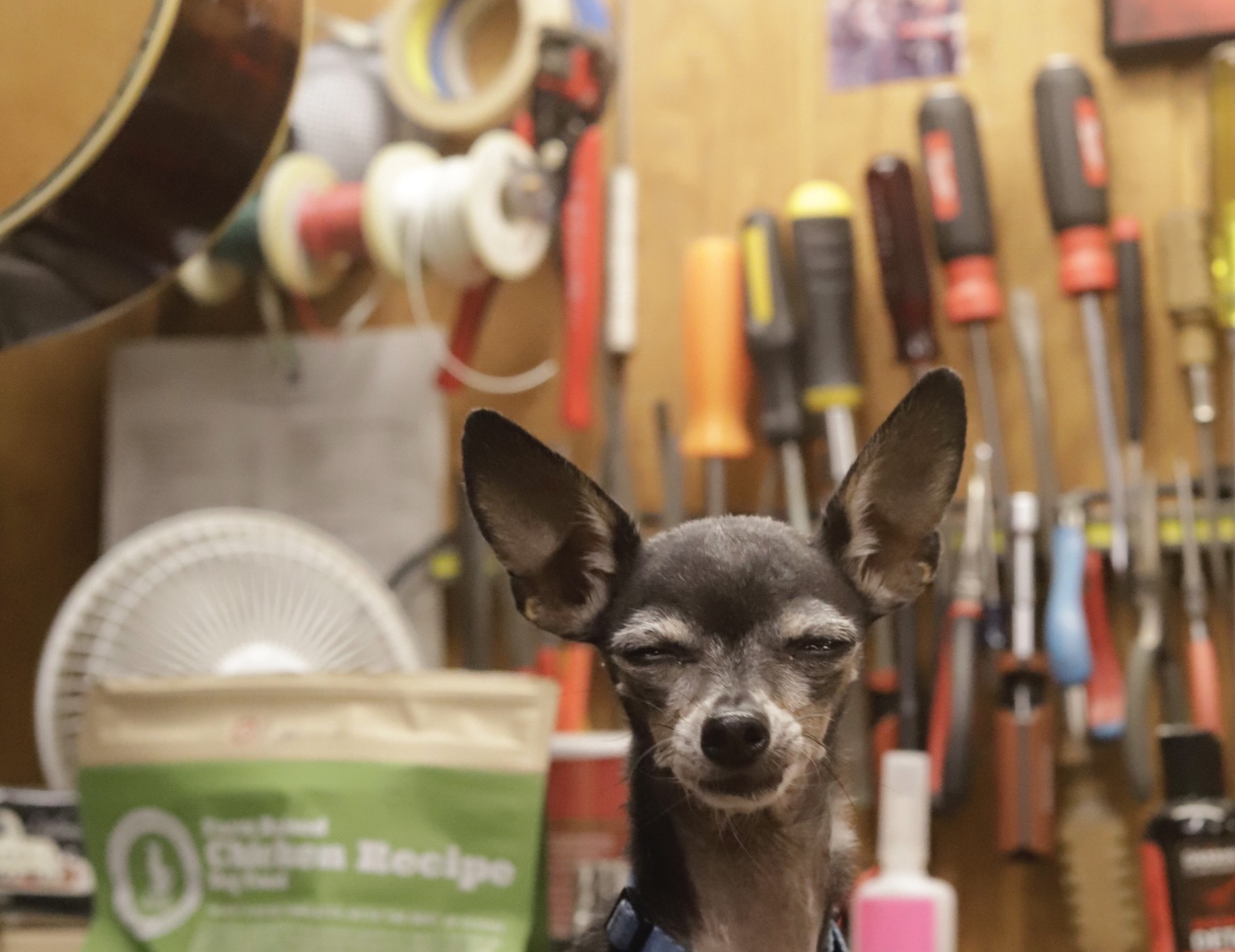 McCabe's Guitar Shop – The best selection of stringed instruments and ...