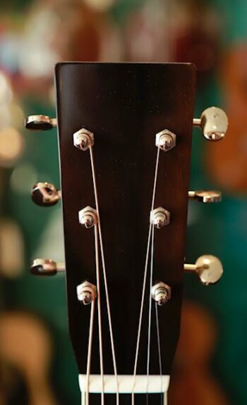 Santa Cruz Tony Rice – McCabe's Guitar Shop