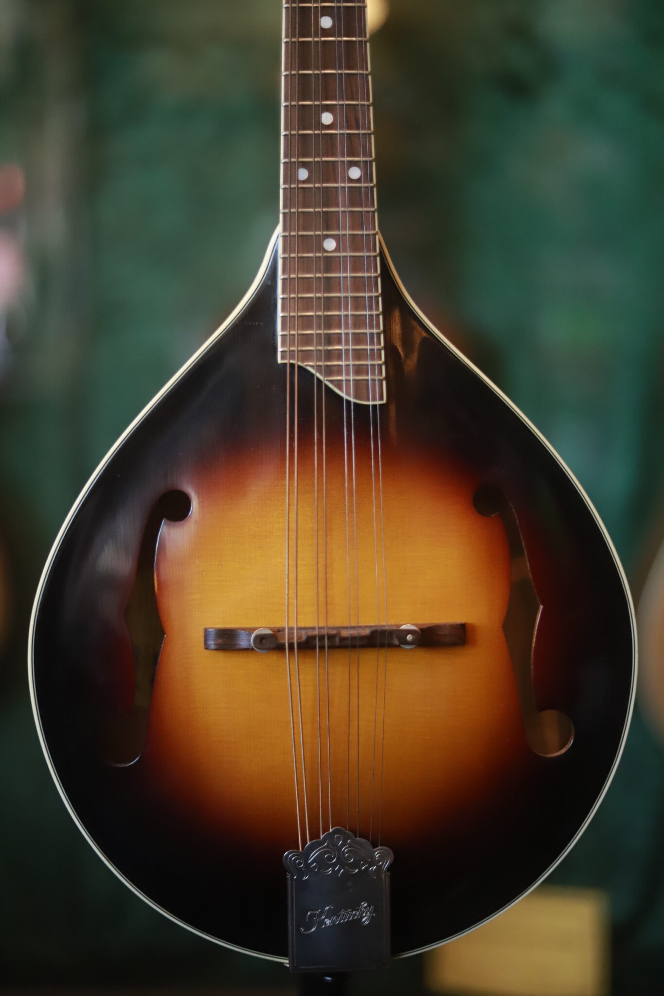 Used Instruments – McCabe's Guitar Shop