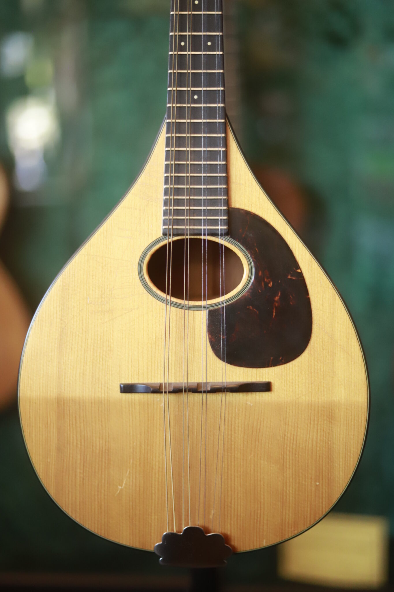 Used Instruments – McCabe's Guitar Shop